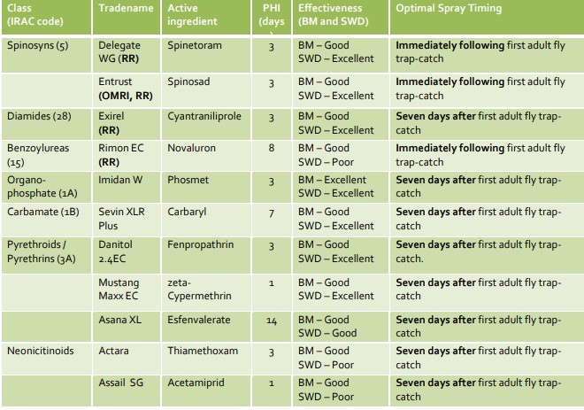 Blueberry Maggot – Wisconsin Fruit
