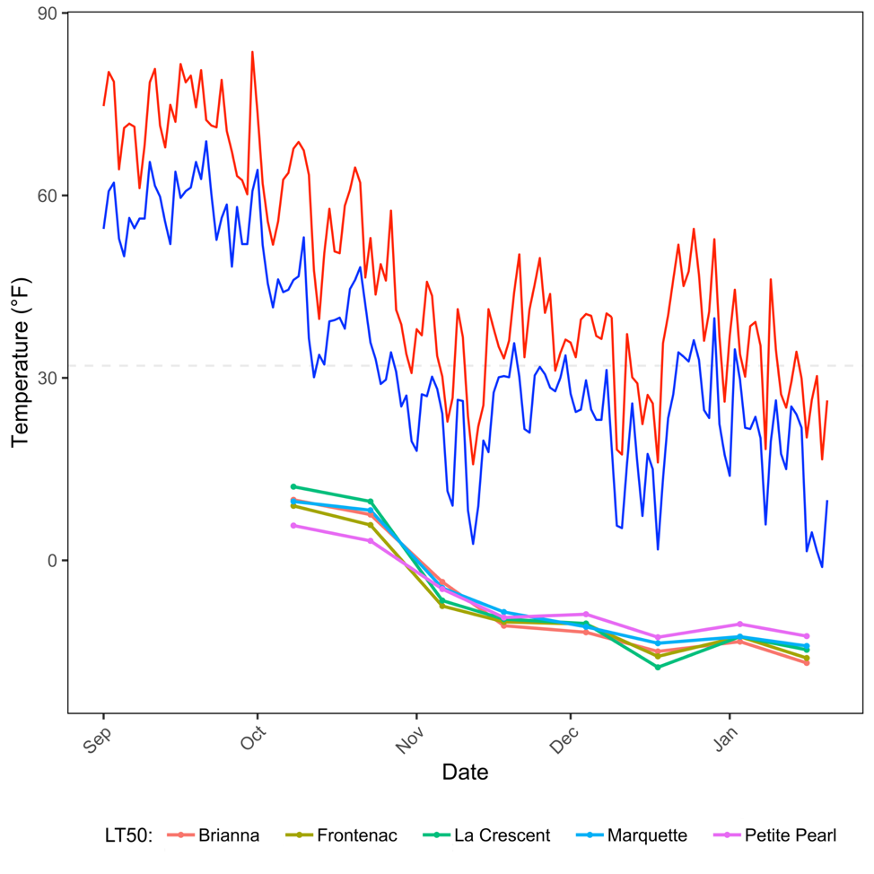 Grape Bud Cold Hardiness Report – Wisconsin Fruit
