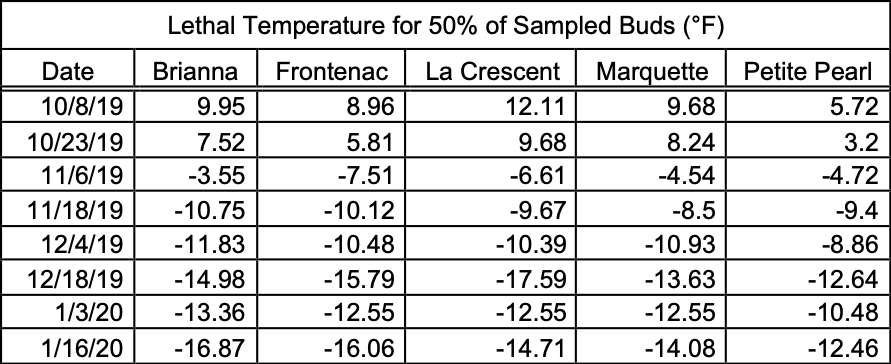 Grape Bud Cold Hardiness Report – Wisconsin Fruit