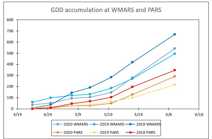 Grape Cultivar Developmental Stages: June 12, 2020 – Wisconsin Fruit