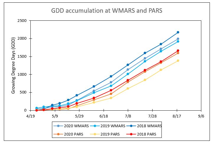 Grape Cultivar Developmental Stages August 19, 2020 – Wisconsin Fruit