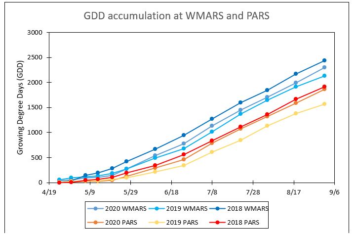 Grape Cultivar Developmental Stages: September 1, 2020 – Wisconsin Fruit