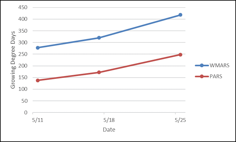 Wine and Table Grape Developmental Stages – Wisconsin Fruit