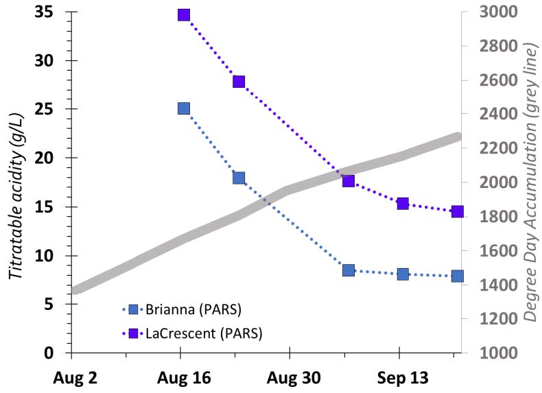 Grape Fruit Quality Assessments – Wisconsin Fruit