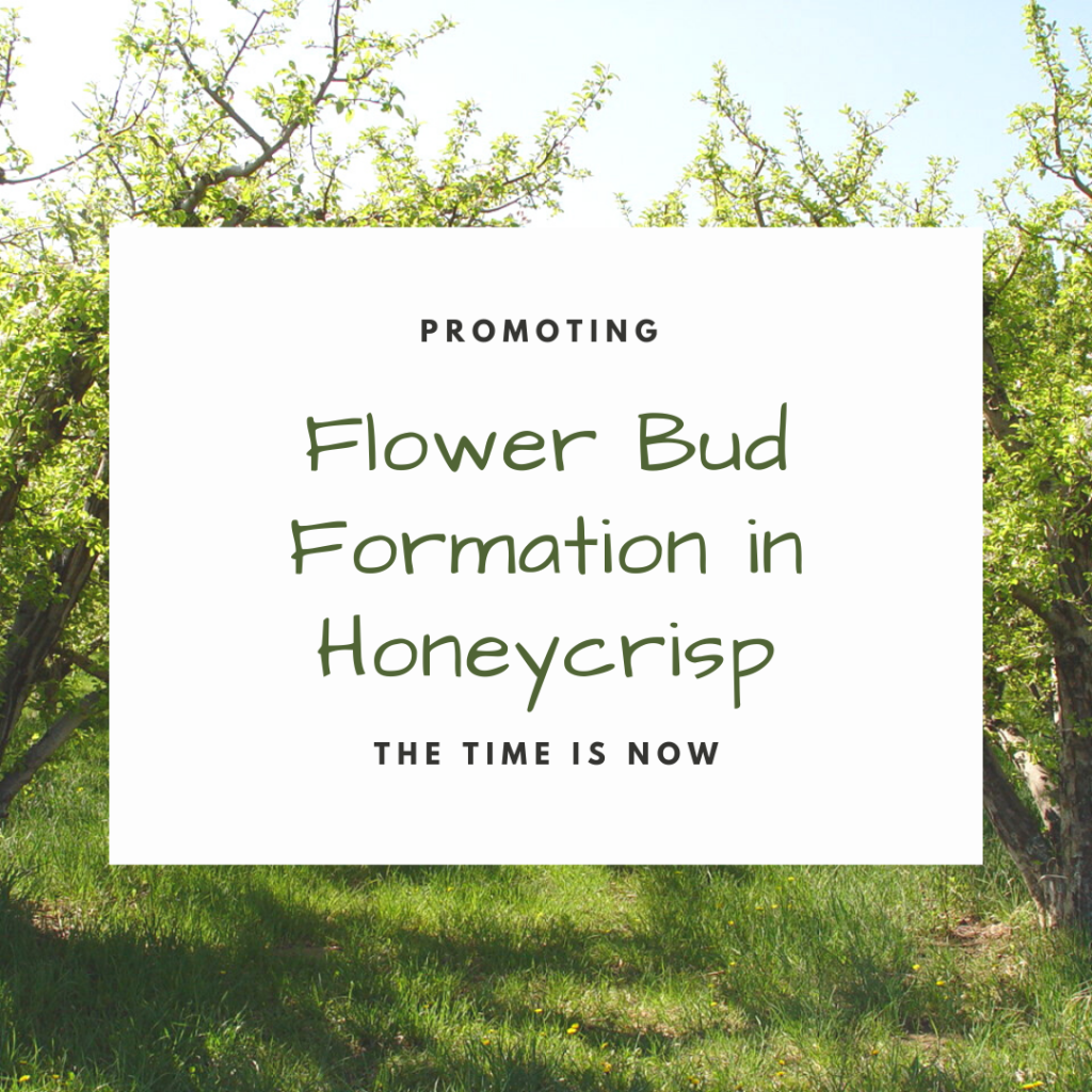 Promoting Flower Bud Formation in Honeycrisp—the Time Is Now ...