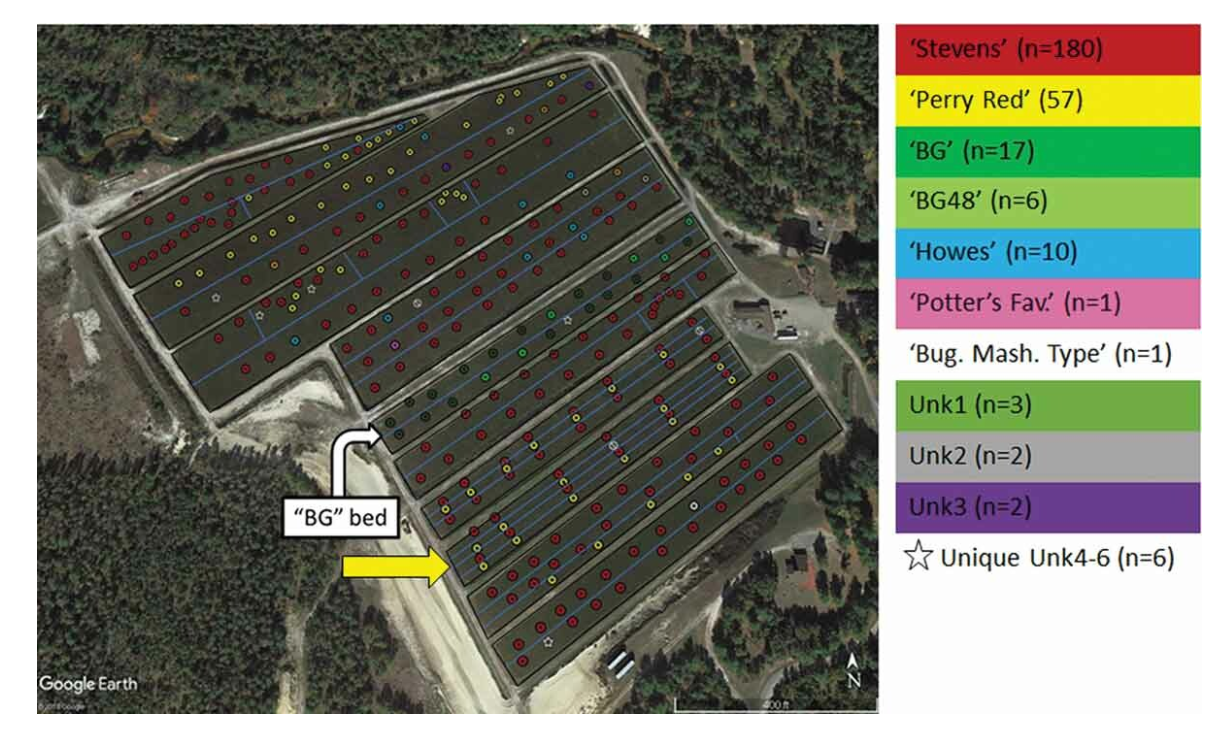 Genetic Fingerprinting at the Wisconsin Cranberry Research Station ...