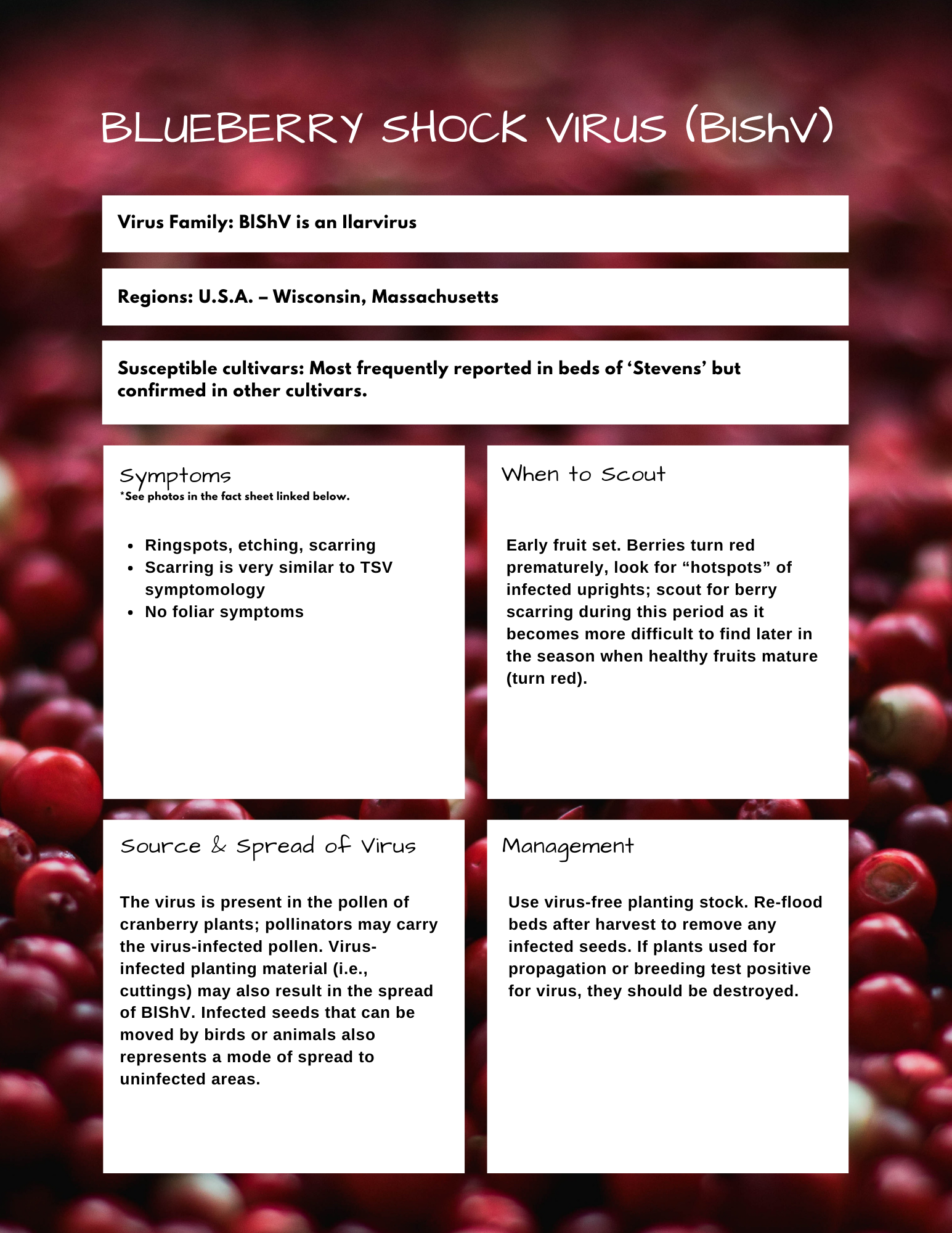 Cranberry Viruses – Wisconsin Fruit