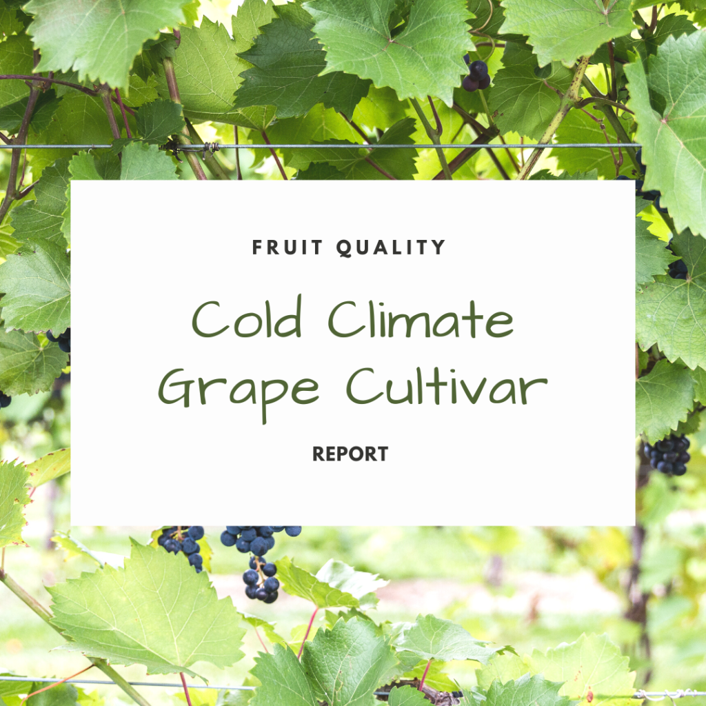 Cold Climate Grape Cultivar Fruit Quality Report August 24, 2022 ...