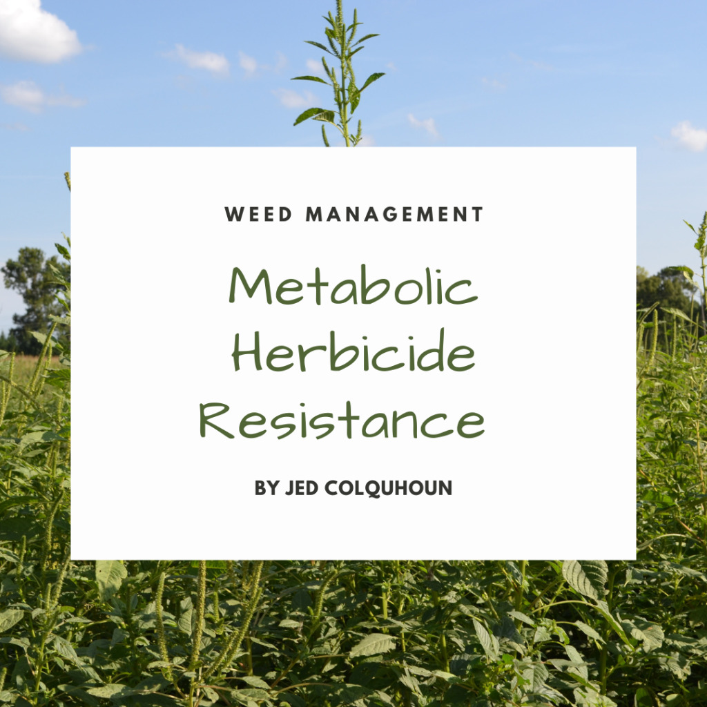 Is Metabolic Herbicide Resistance the Straw That Will Break Weed ...