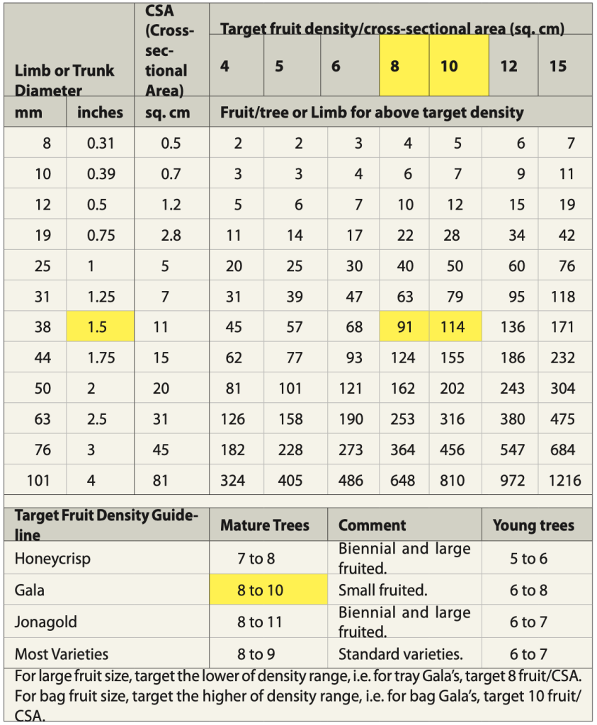 Determining Optimal Fruit Crop Load in Apple Trees – Wisconsin Fruit