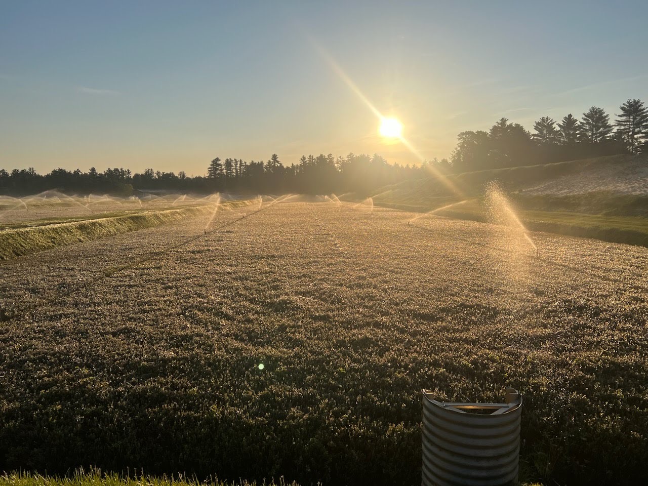 Update from the Wisconsin Cranberry Research Station – Wisconsin Fruit