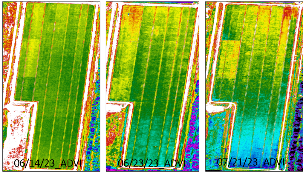 Multispectral Imaging for Cranberry Production Improvement – Wisconsin ...