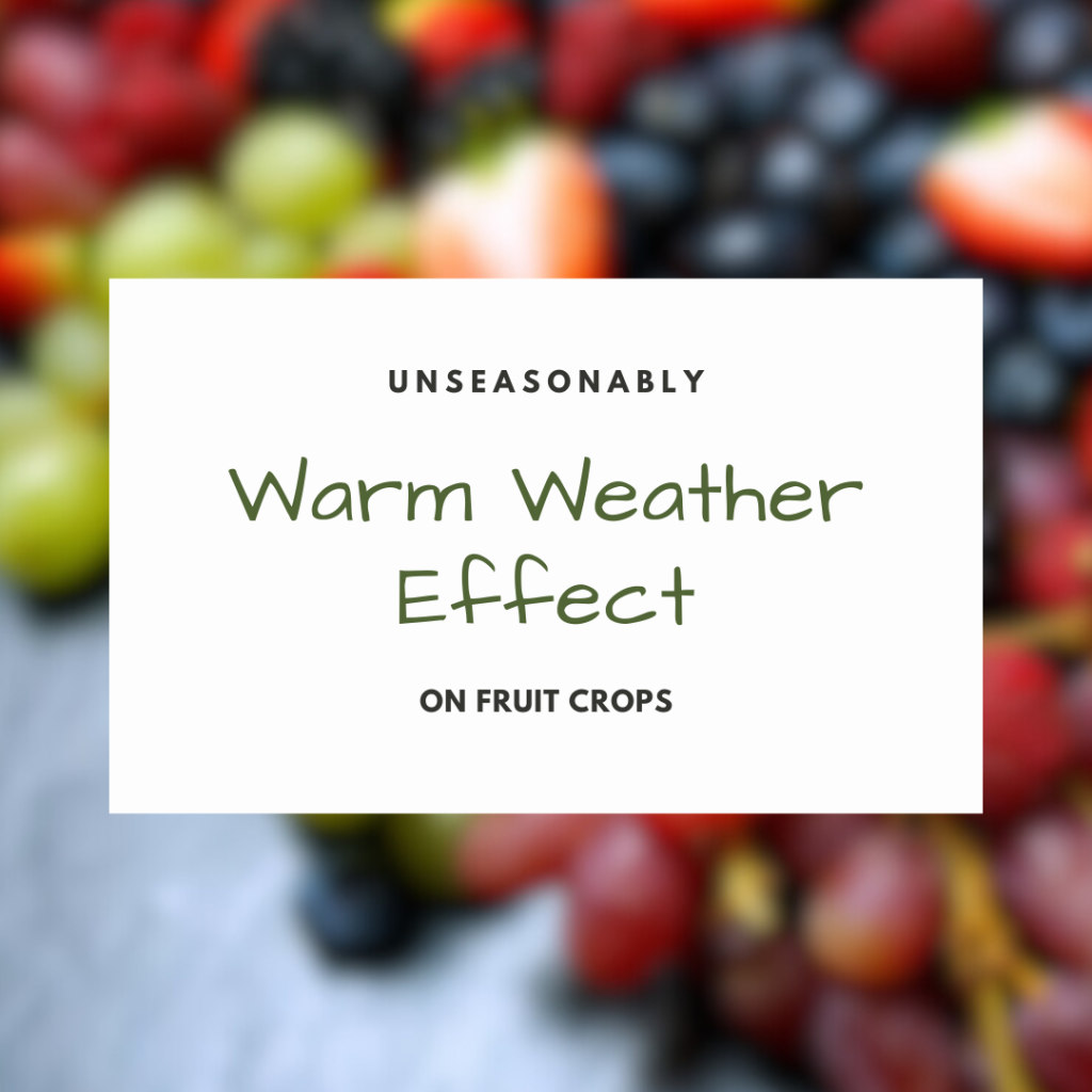 Unseasonably Warm Weather Effect on Fruit Crops – Wisconsin Fruit