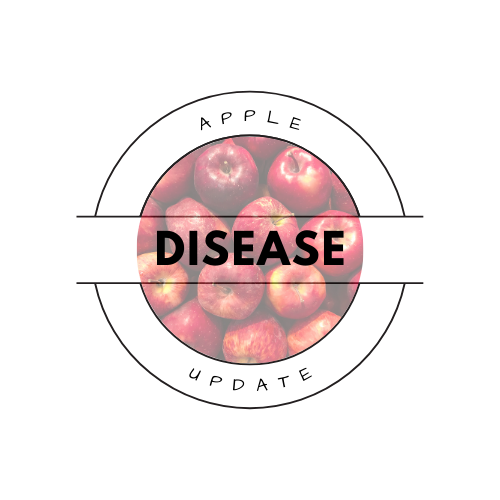Wisconsin Apple Disease Update #1: Bloom Time Fire Blight Control ...