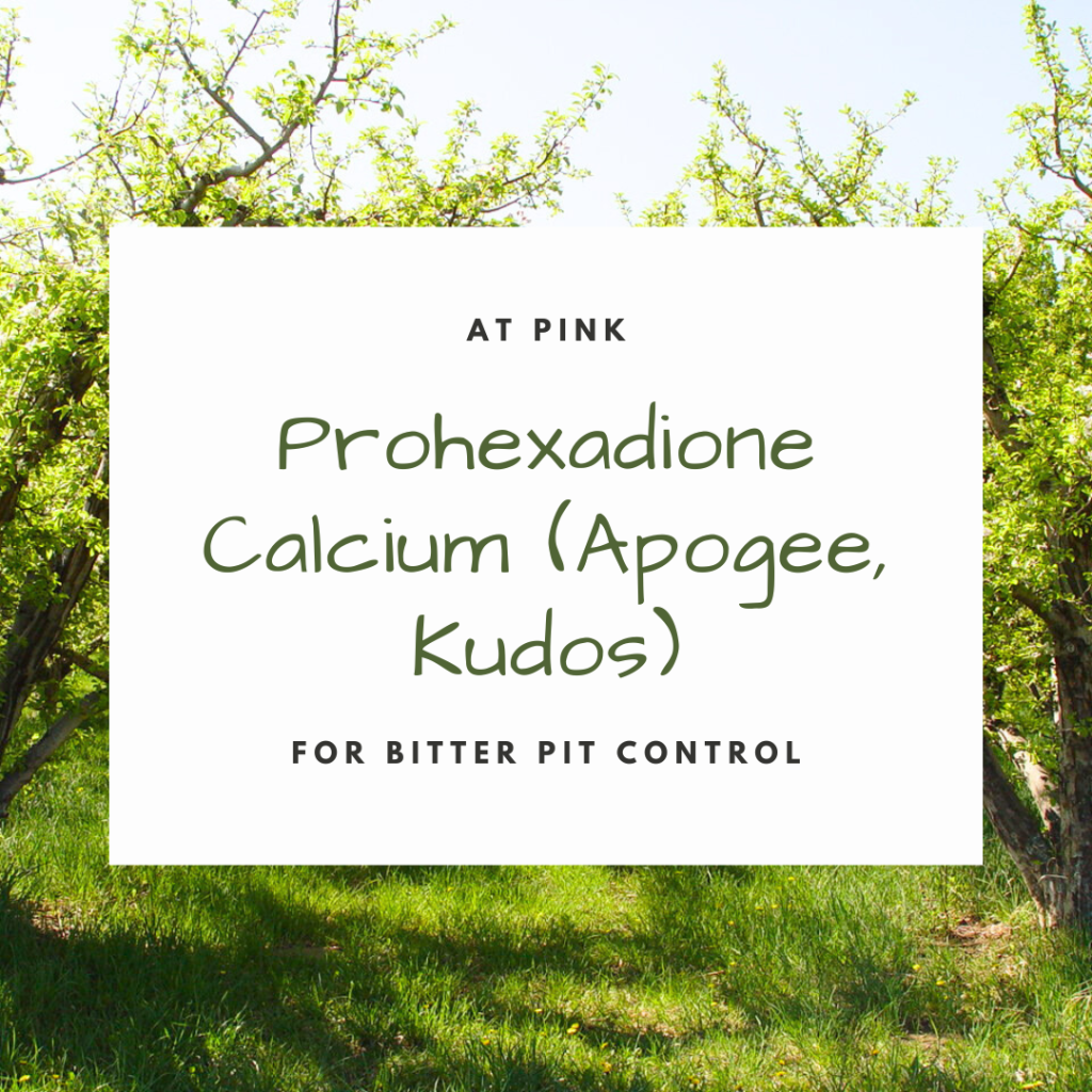 Prohexadione Calcium (Apogee, Kudos) at Pink for Bitter Pit Control ...