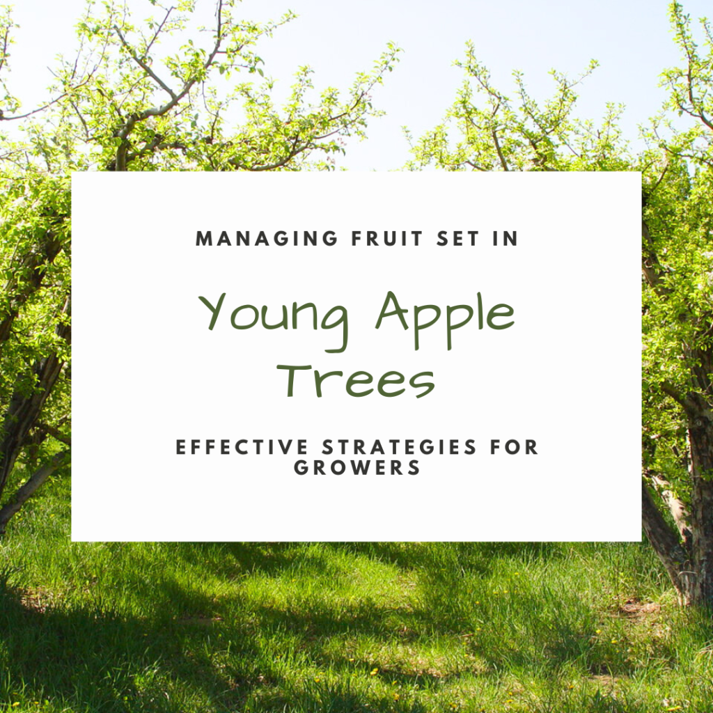 Managing Fruit Set in Young Apple Trees: Effective Strategies for ...