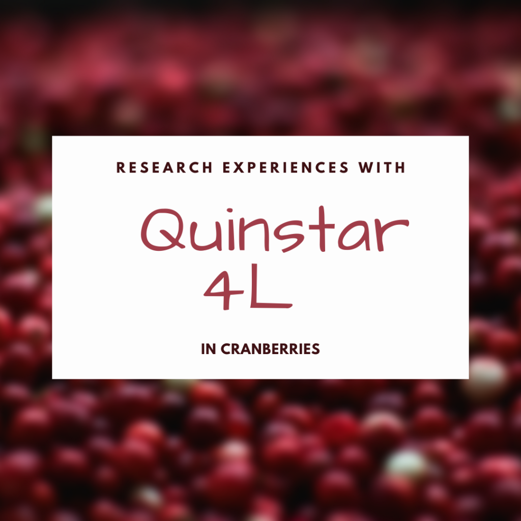 Research Experiences With QuinStar 4L in Cranberries – Wisconsin Fruit